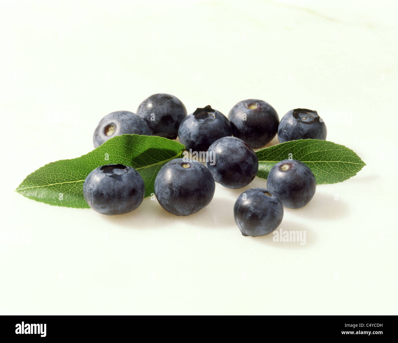 Blueberrycut hi-res stock photography and images - Alamy