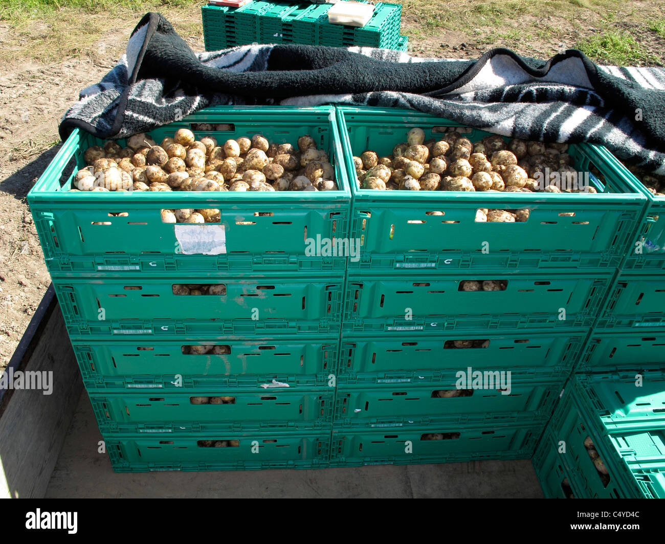 Potato harvesting machine hi-res stock photography and images - Alamy