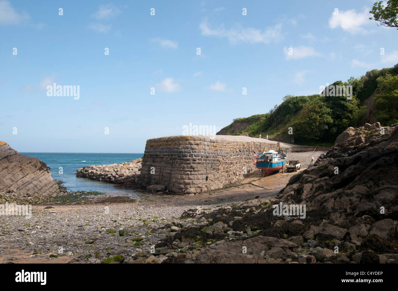 stackpole quay harbour with fishing boat Stock Photo - Alamy