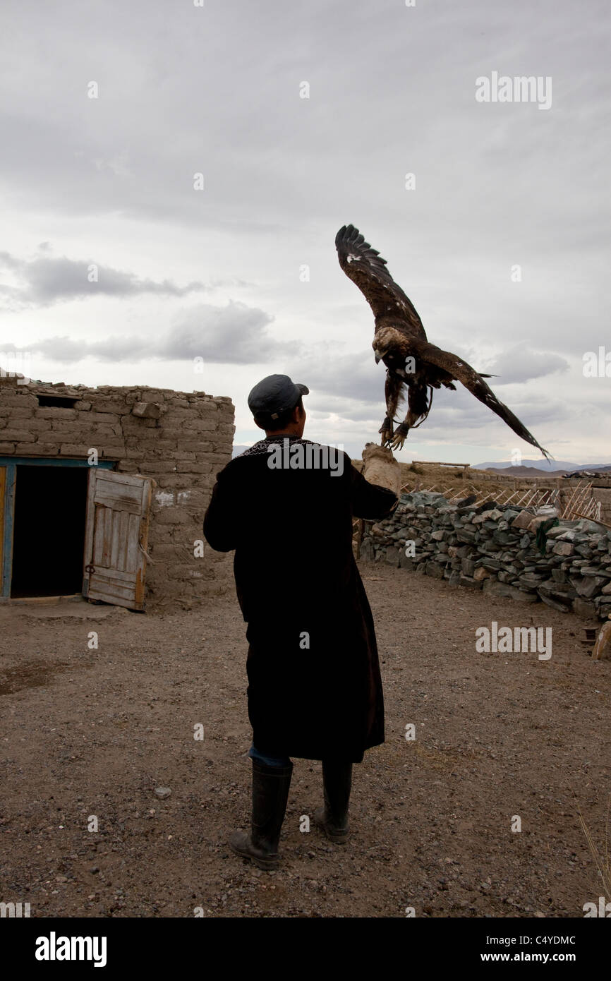 Bayan mongolia eagle hi-res stock photography and images - Alamy