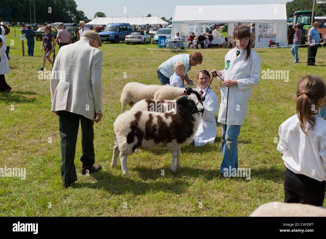 Judge at show hi-res stock photography and images - Alamy