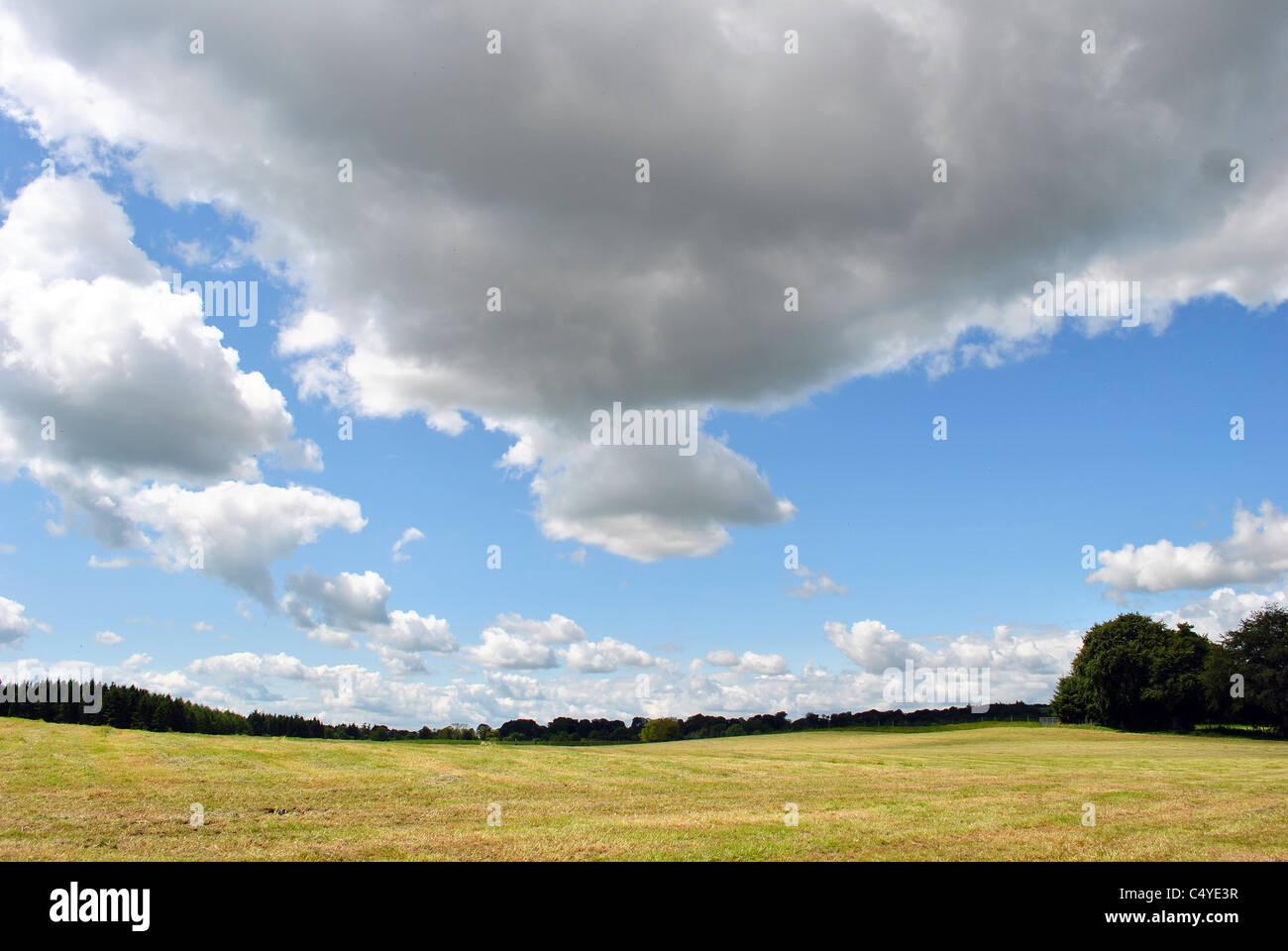 Perspective view of the countryside hi-res stock photography and images ...