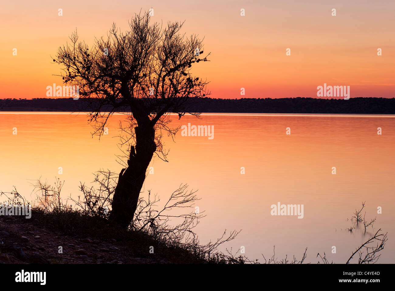 Alqueva dam hi-res stock photography and images - Alamy