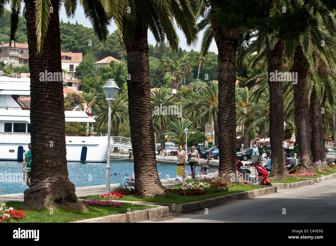 Seaside promenade, Cavtat, Croatia Stock Photo - Alamy