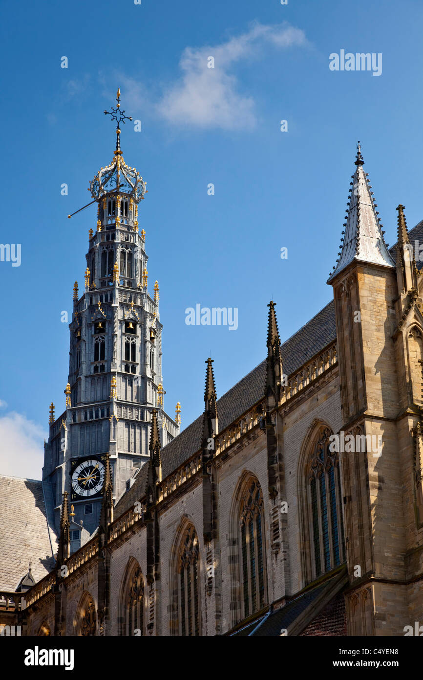 Sint-Bavokerk, St Bavo Church, or Grote Kerk, Protestant church in ...