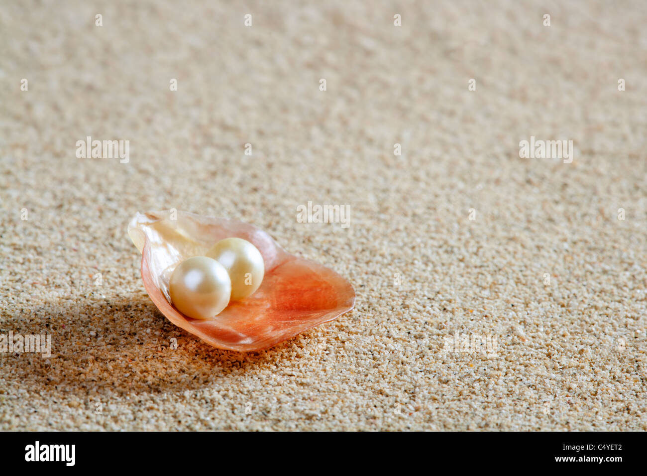 Pearl in clam shell hi-res stock photography and images - Alamy