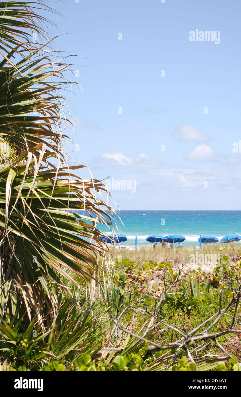 Delray beach florida hi-res stock photography and images - Alamy