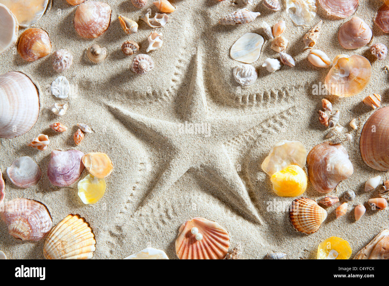 Starfish Opening Clam