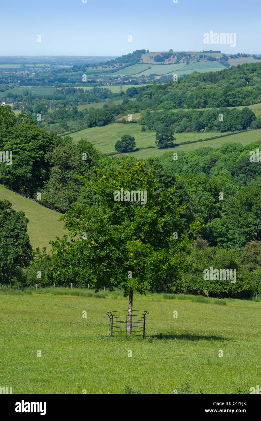 Cotswold landscape hi-res stock photography and images - Alamy