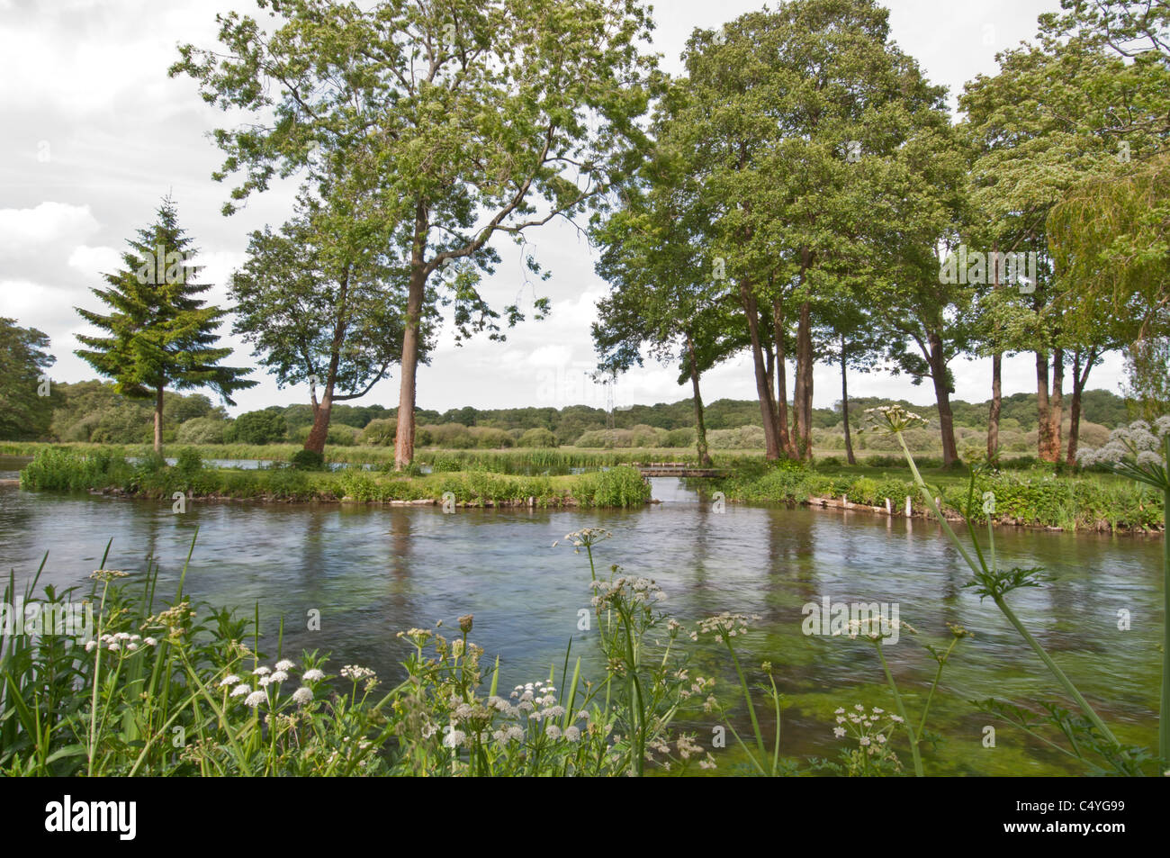 River test hampshire hi-res stock photography and images - Alamy