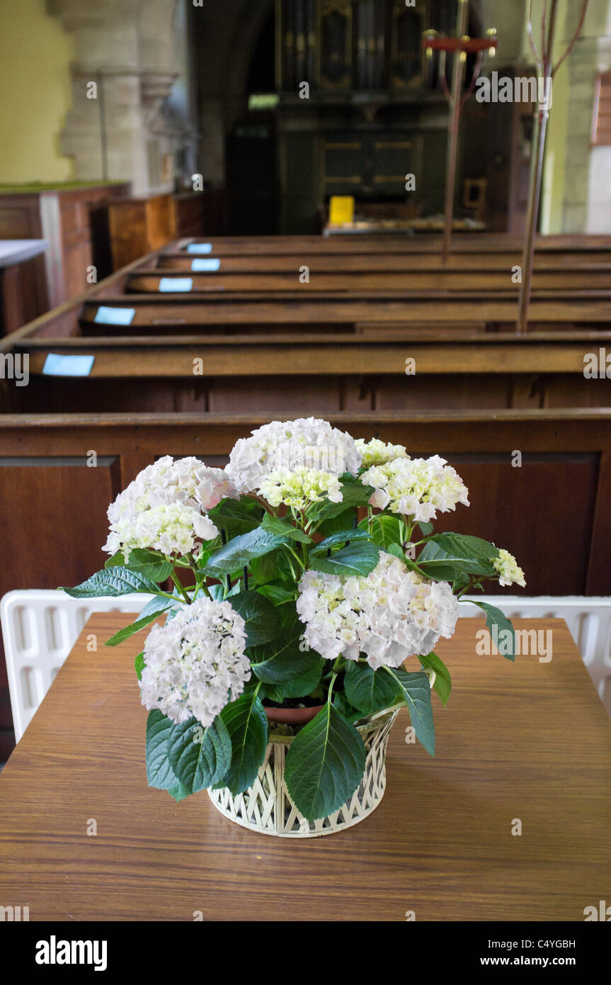 church of england protestant anglican churches Stock Photo - Alamy