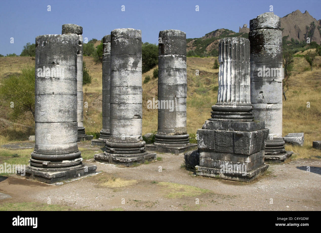 Forest of unfinished columns, Temple of Artemis, Sardis, Turkey 010803 ...