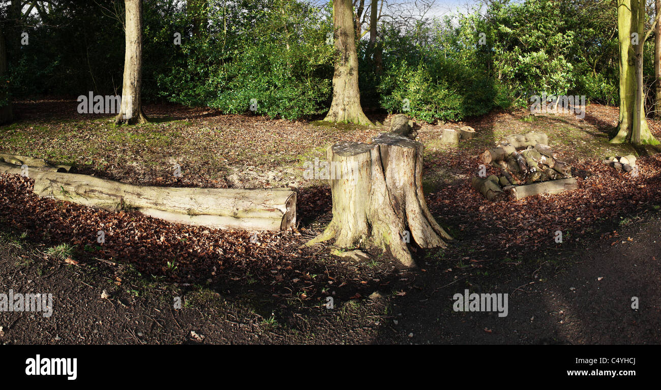 cut logs in forest firewood timber forestry Stock Photo - Alamy
