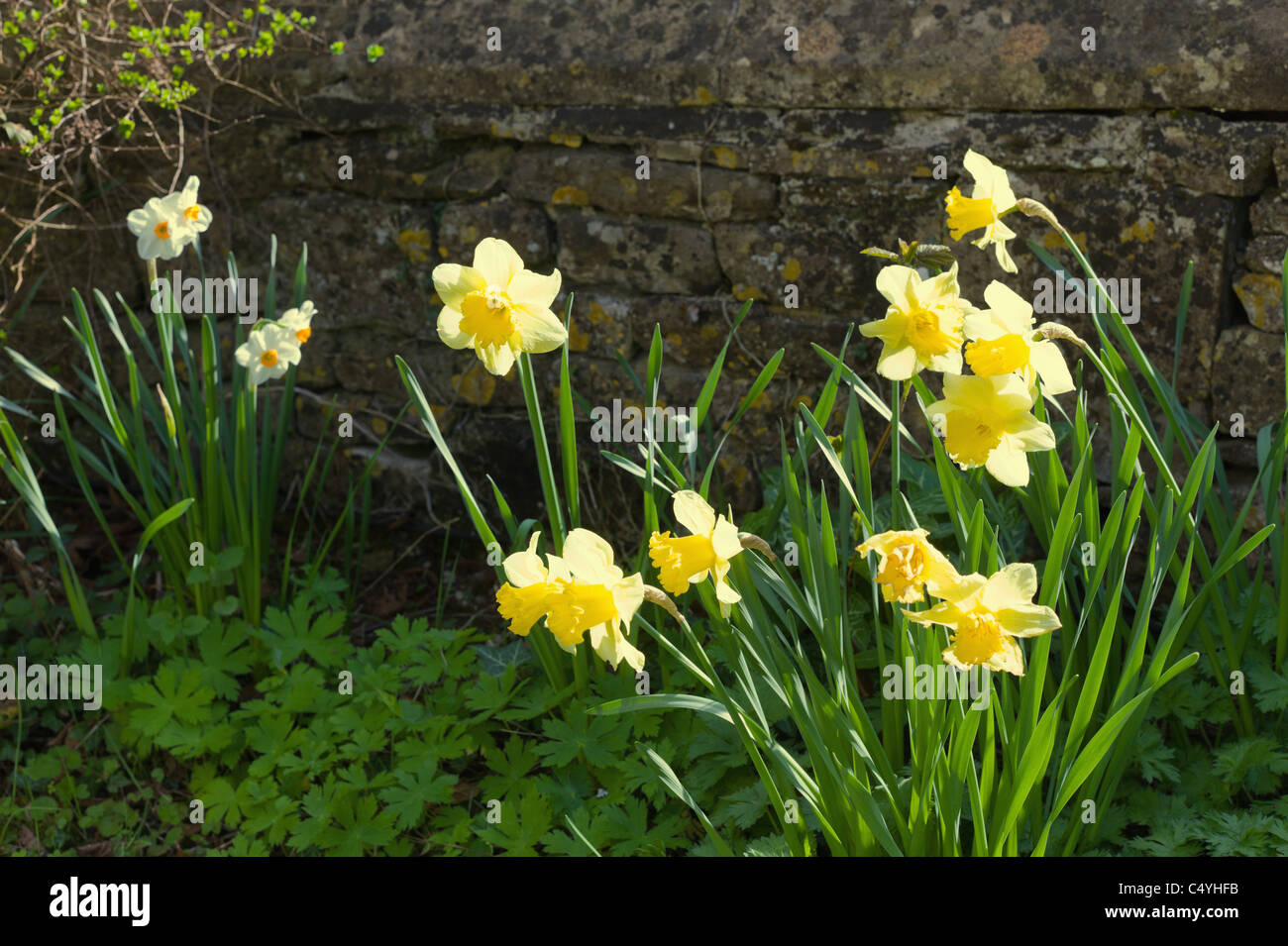 lower slaughter village cotswolds Stock Photo - Alamy