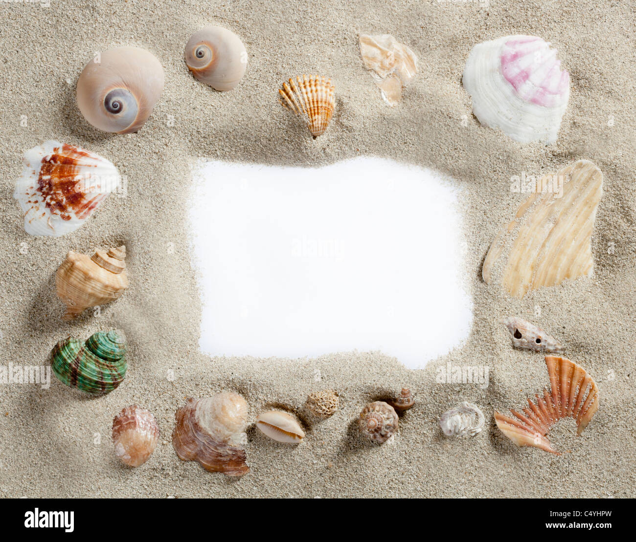 border summer shells frame composition over beach sand beach with blank ...