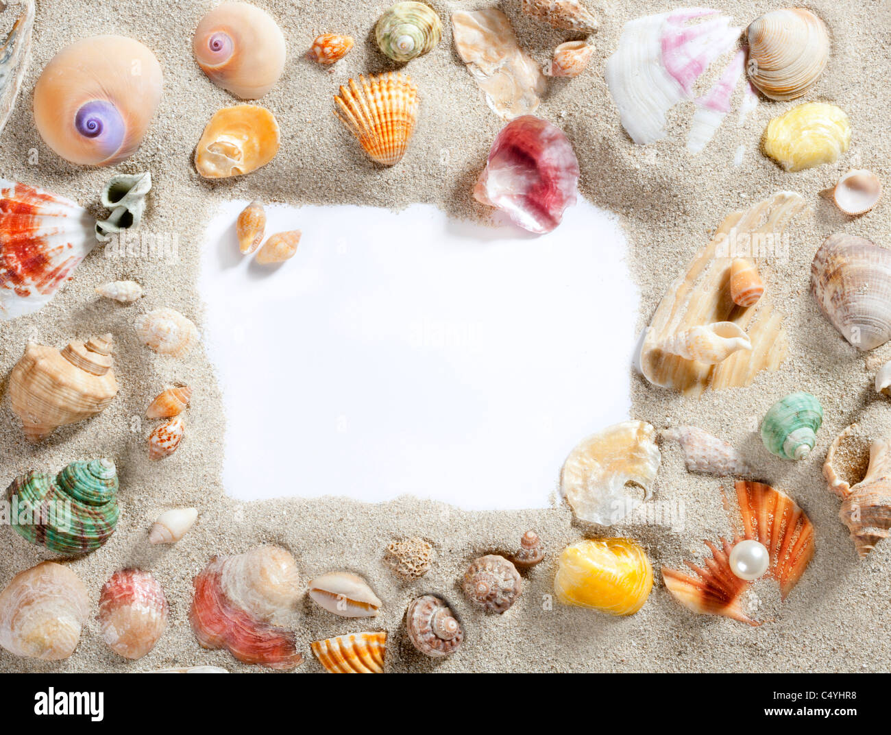 border summer shells frame composition over beach sand beach with blank ...