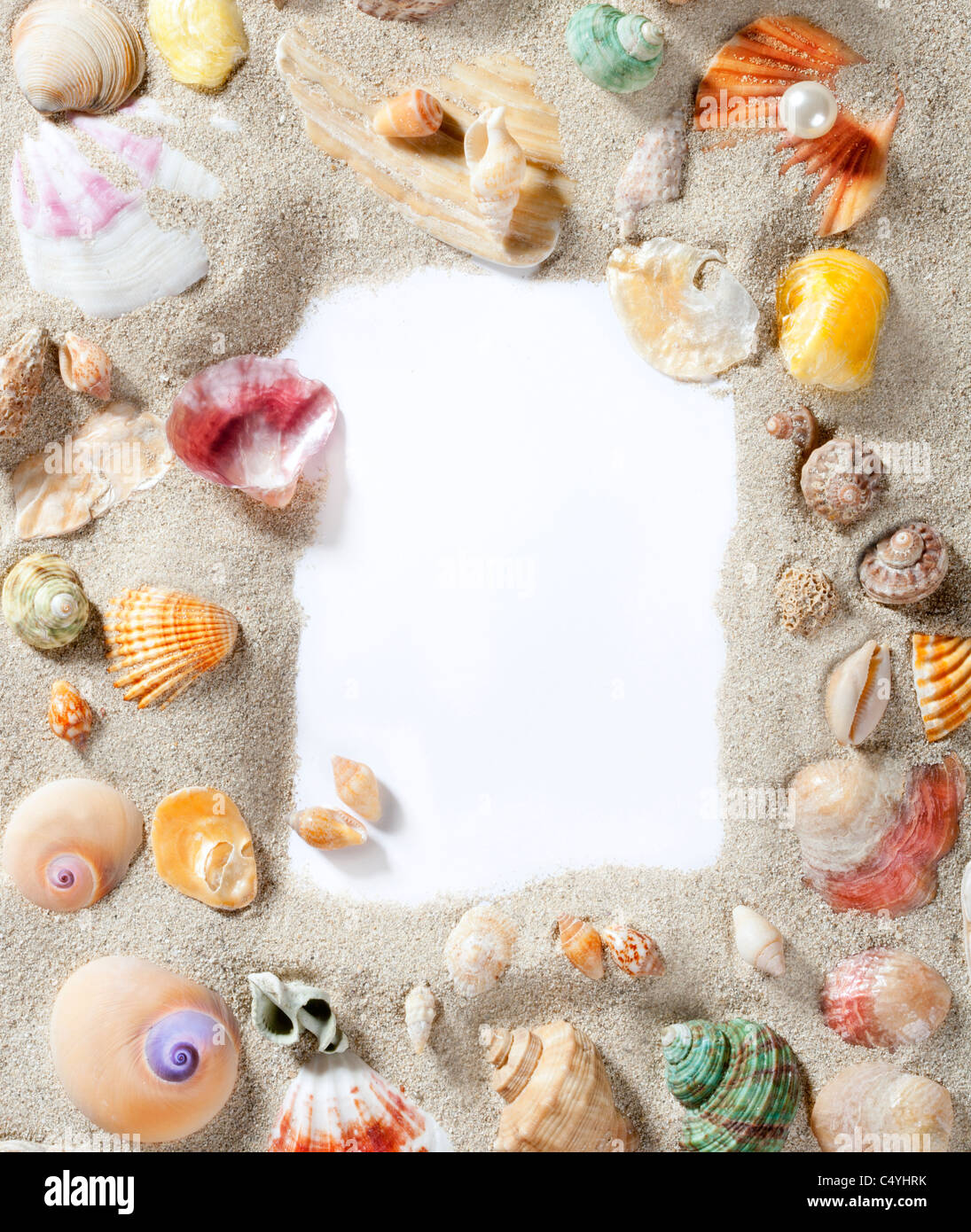 border summer shells frame composition over beach sand beach with blank ...