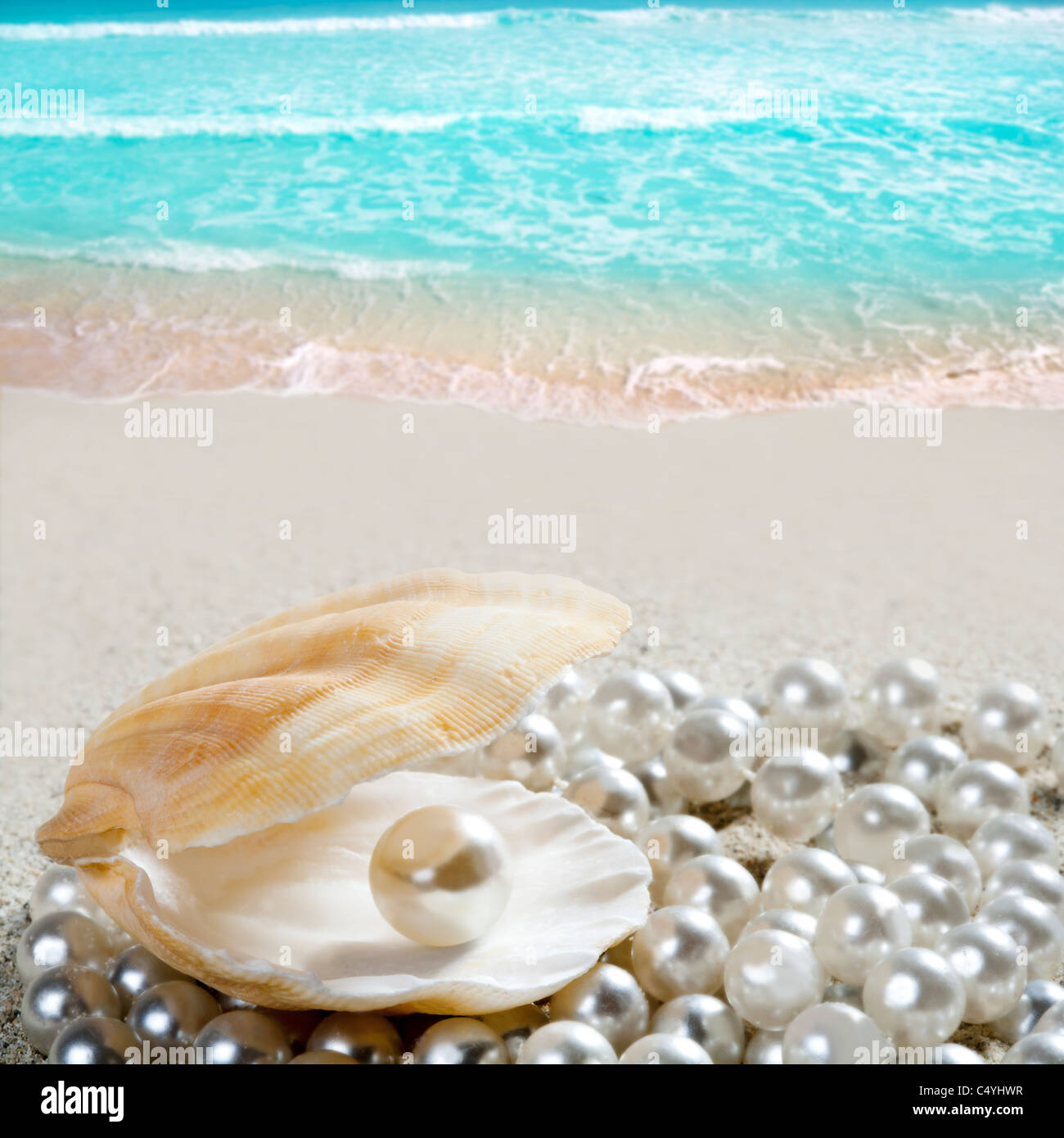 Caribbean pearl inside clam shell over white sand beach in a tropical ...