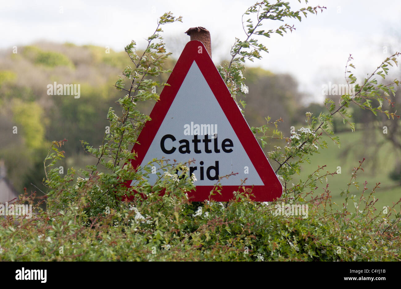 Cattle grid warning sign hi-res stock photography and images - Alamy
