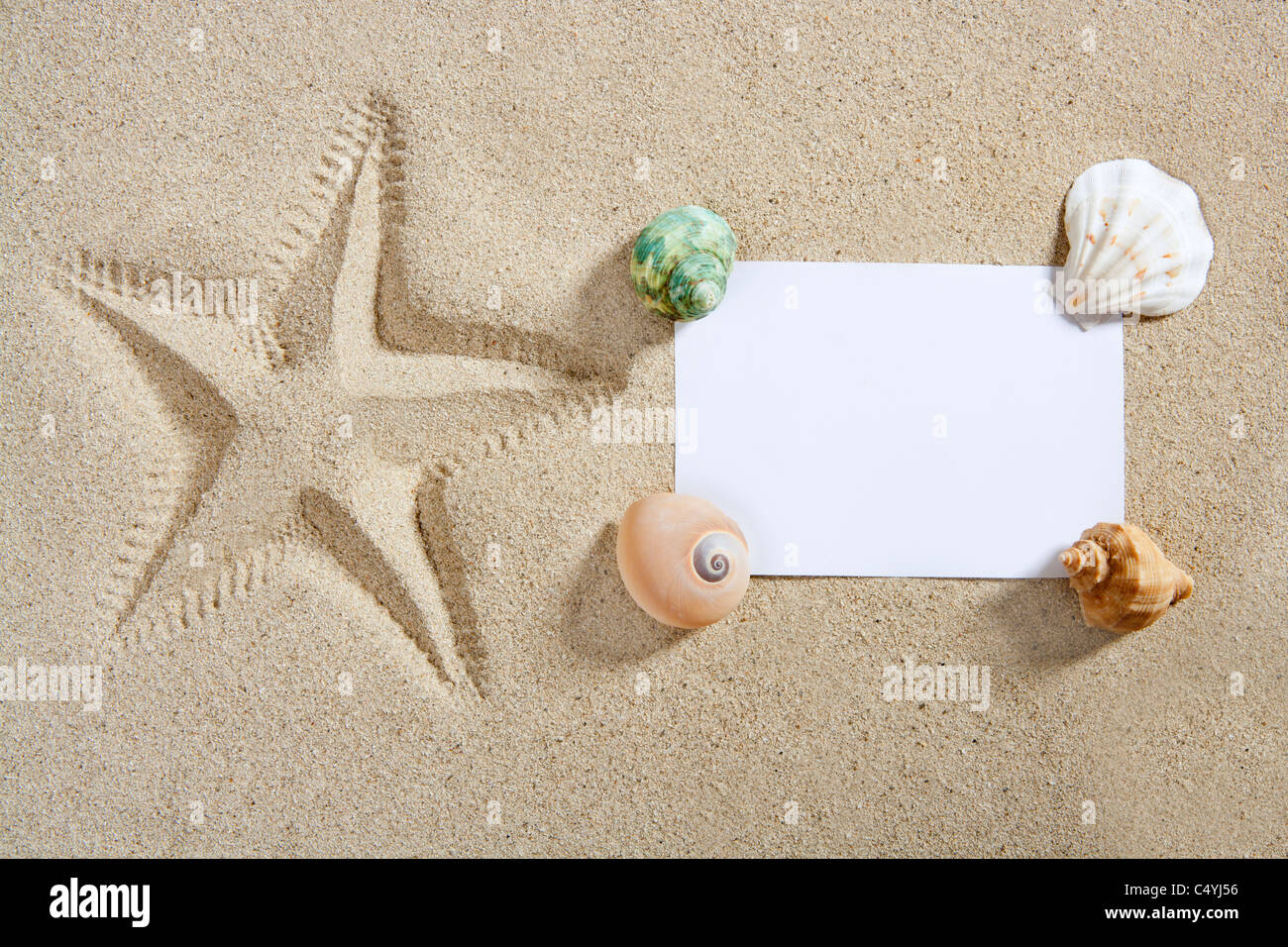 blank paper on white sand beach with shells and starfish print like a ...
