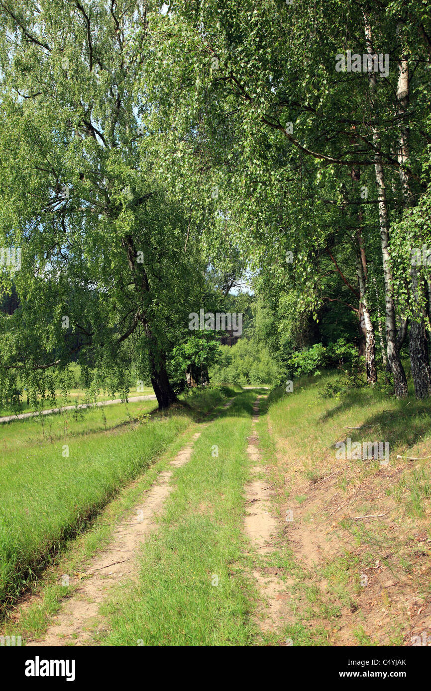 Country road through forest wilderness hi-res stock photography and ...