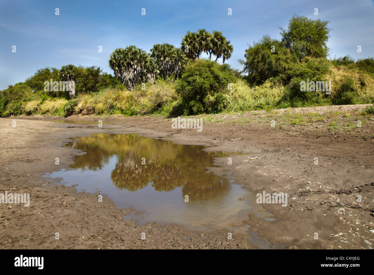 Dinder (Dindir) National Park, Northern Sudan, Africa Stock Photo - Alamy