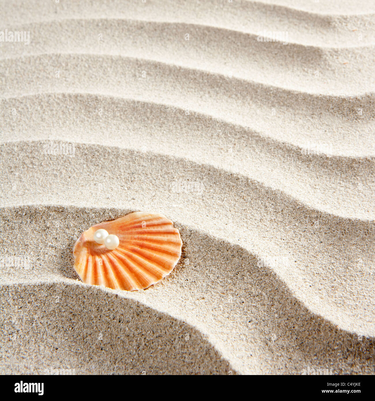 Caribbean pearl on shell in white wavy sand beach Stock Photo - Alamy