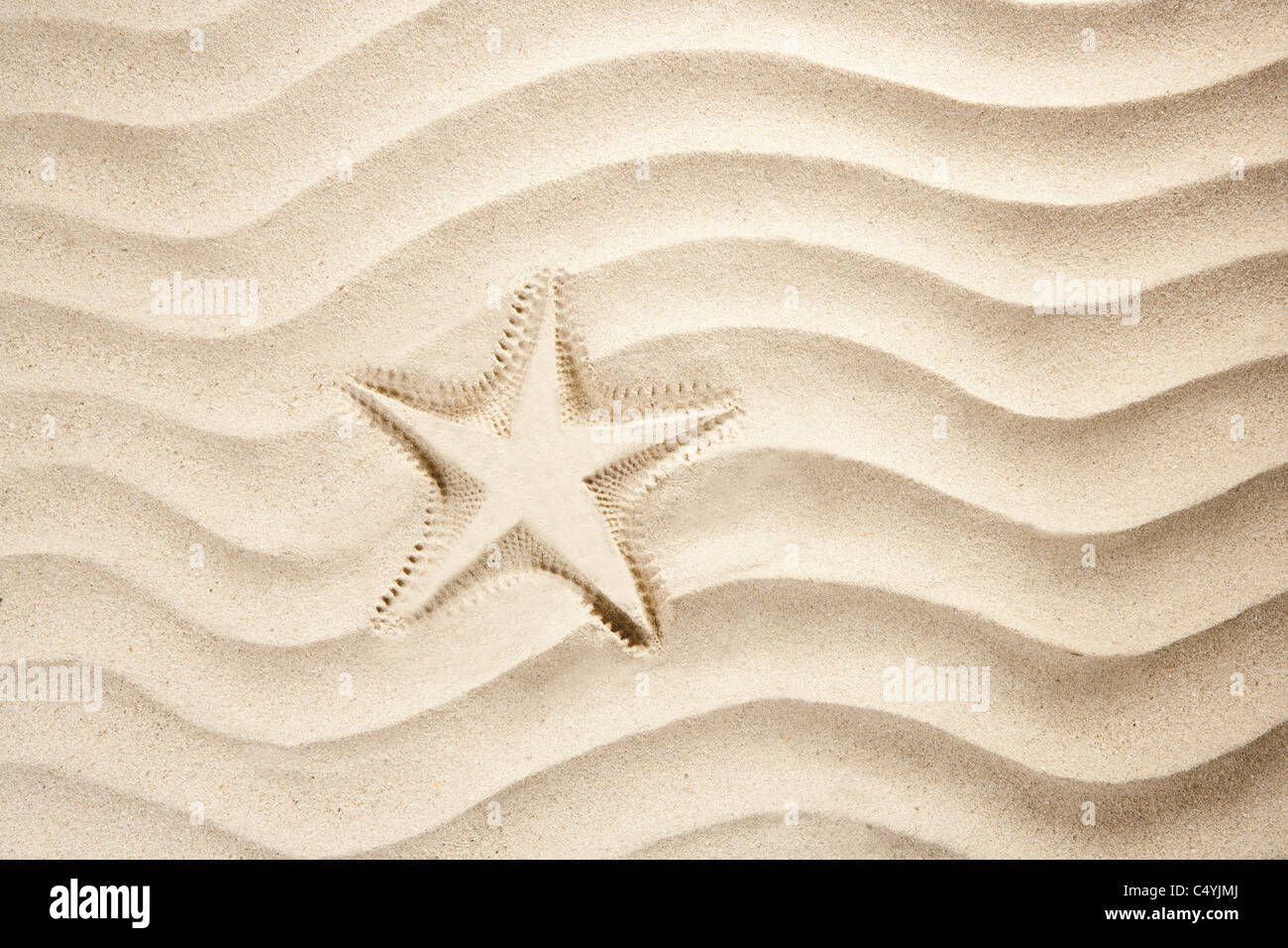 Tropical fish caribbean white sand hi-res stock photography and images ...