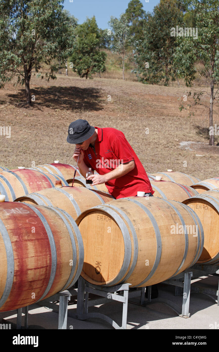 Cellarmaster hi-res stock photography and images - Alamy