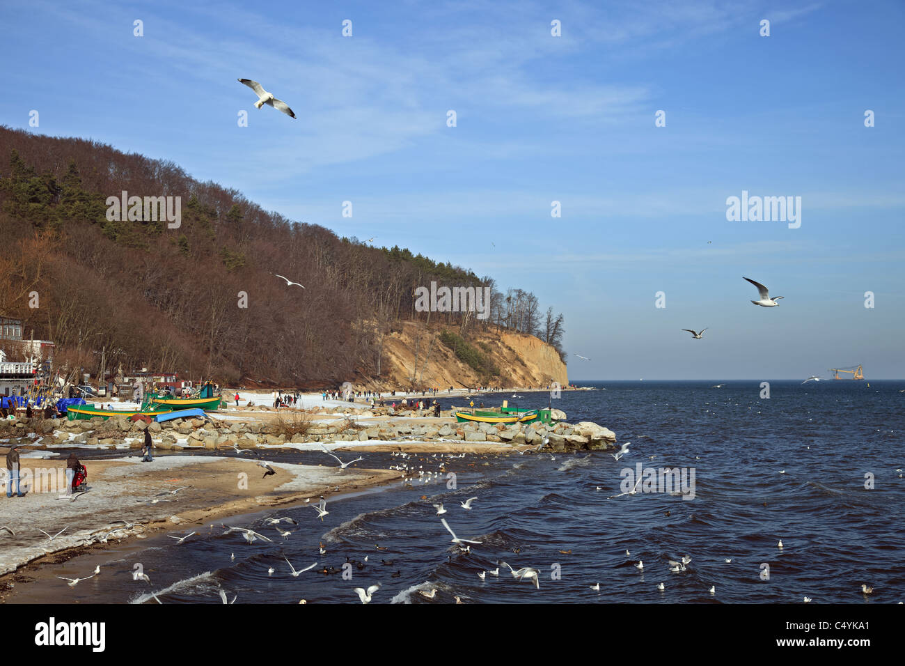 View of the cliff in Orlowo, Poland Stock Photo - Alamy