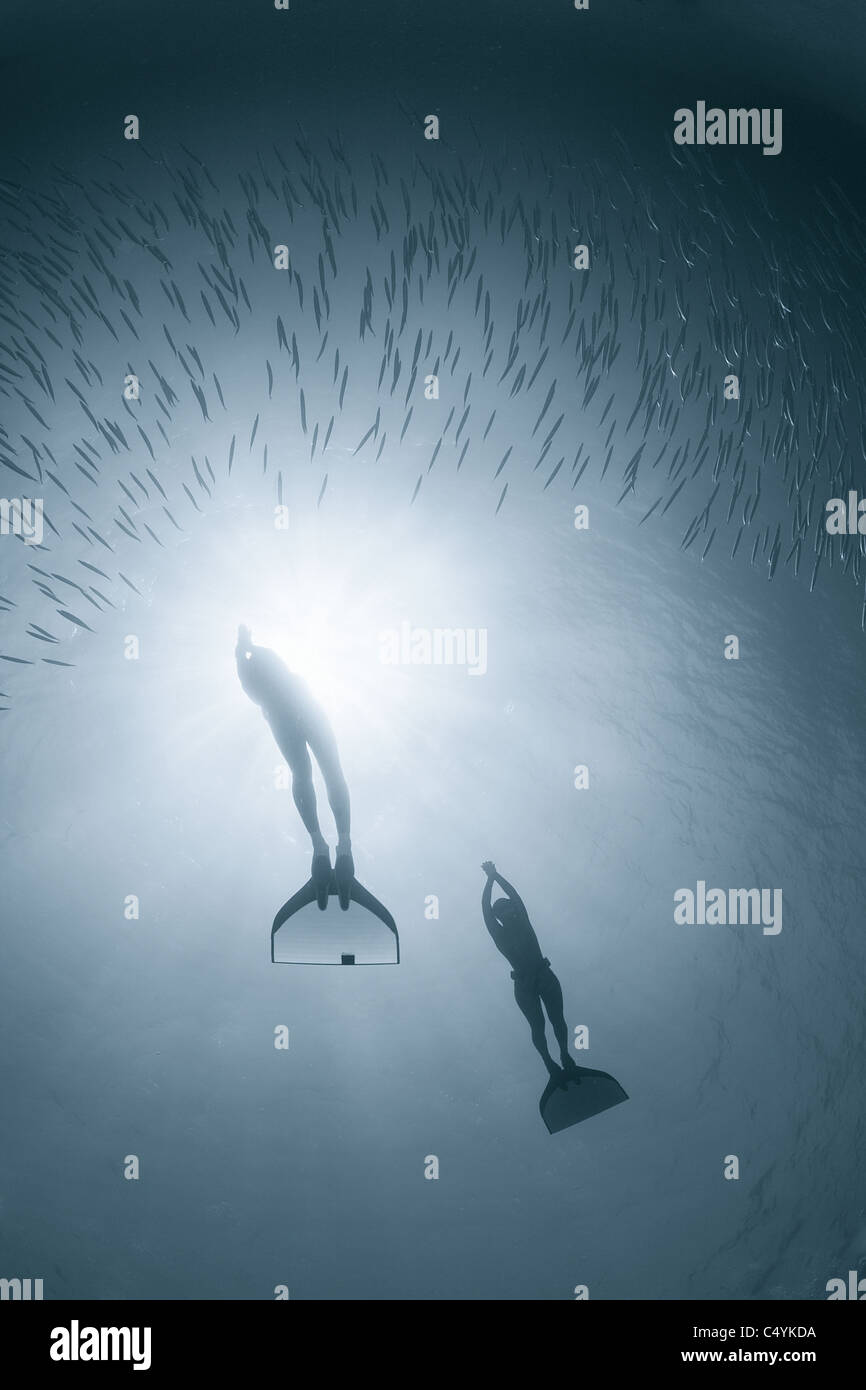 One fish two fish red fish blue fish hi-res stock photography and ...