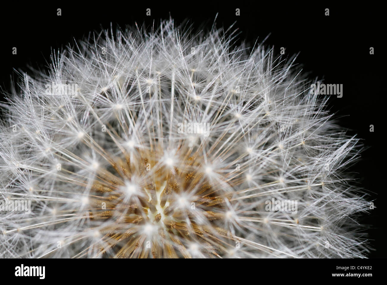 Ring edge hi-res stock photography and images - Alamy