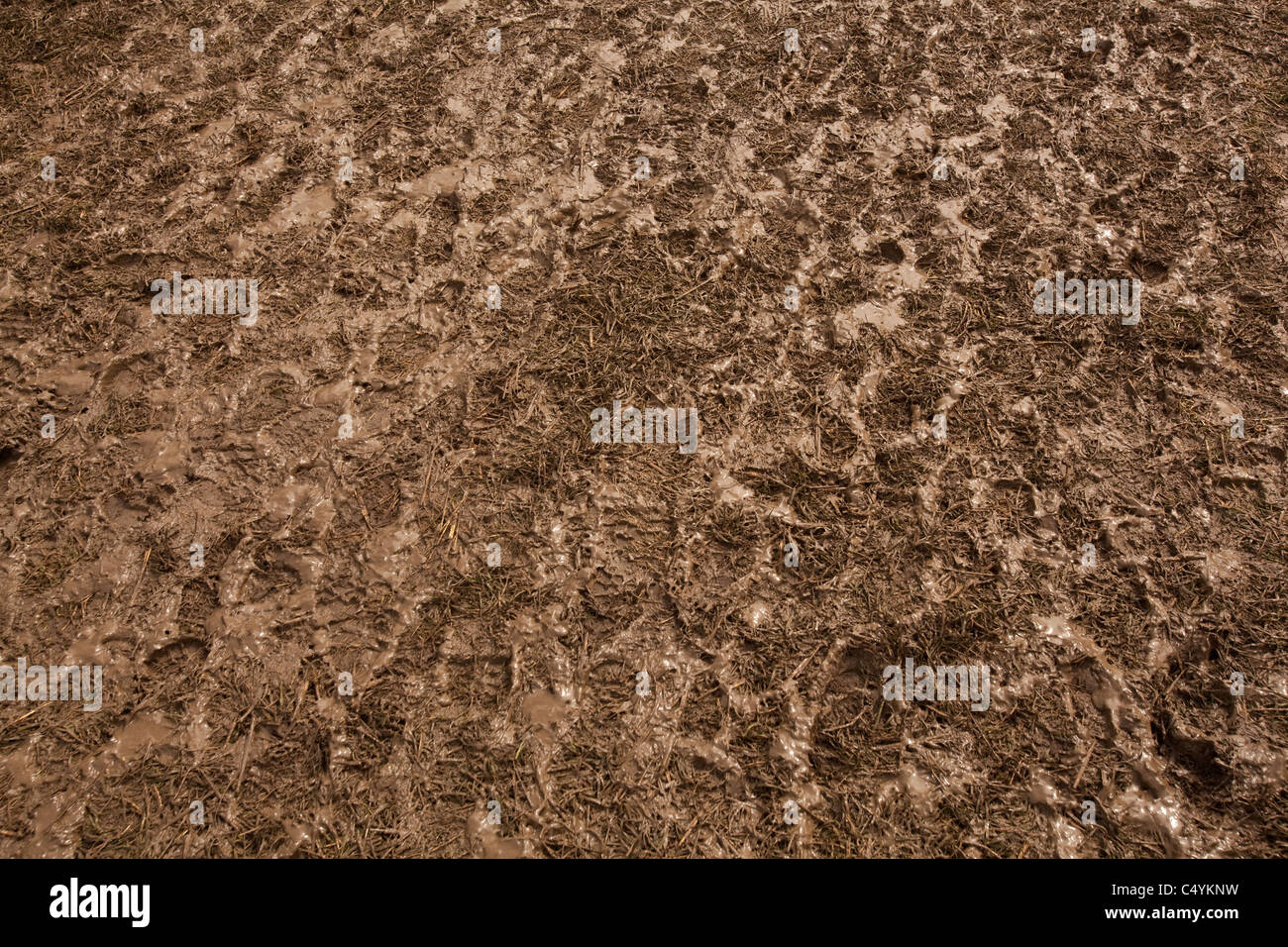 Muddy field at the Glastonbury festival 2011 Stock Photo - Alamy