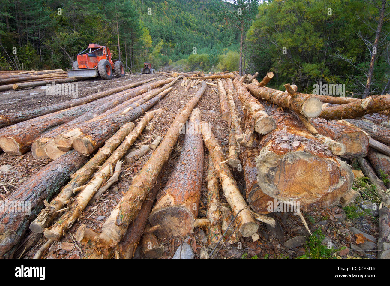 Cut trees bulldozer hi-res stock photography and images - Alamy