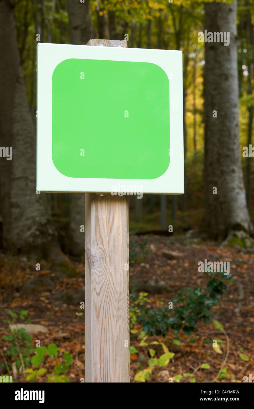 green signal in a forest Stock Photo - Alamy