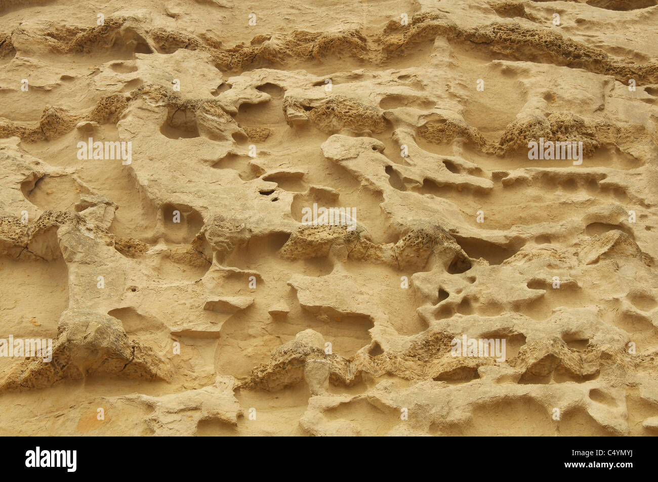 patterns and shapes formed by erosion and weathering in the sandstone ...