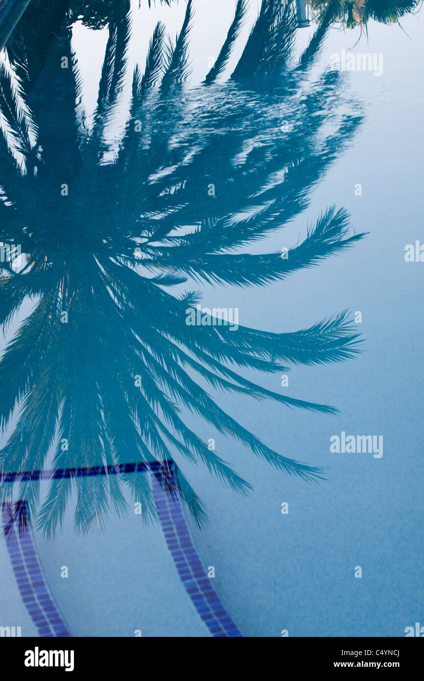 A Mirror image Stock Photo - Alamy