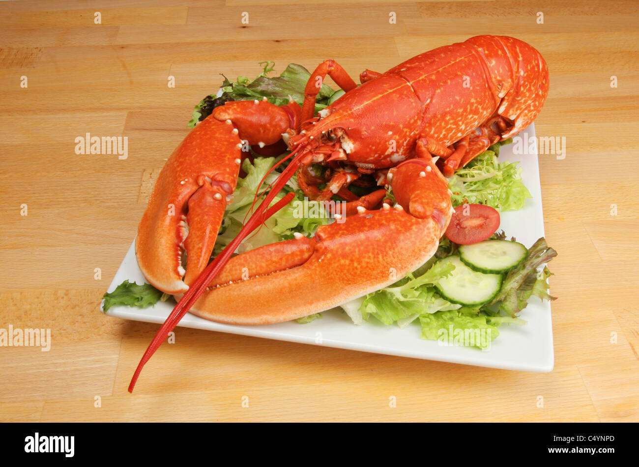 Whole cooked lobster on a plate of green salad Stock Photo - Alamy