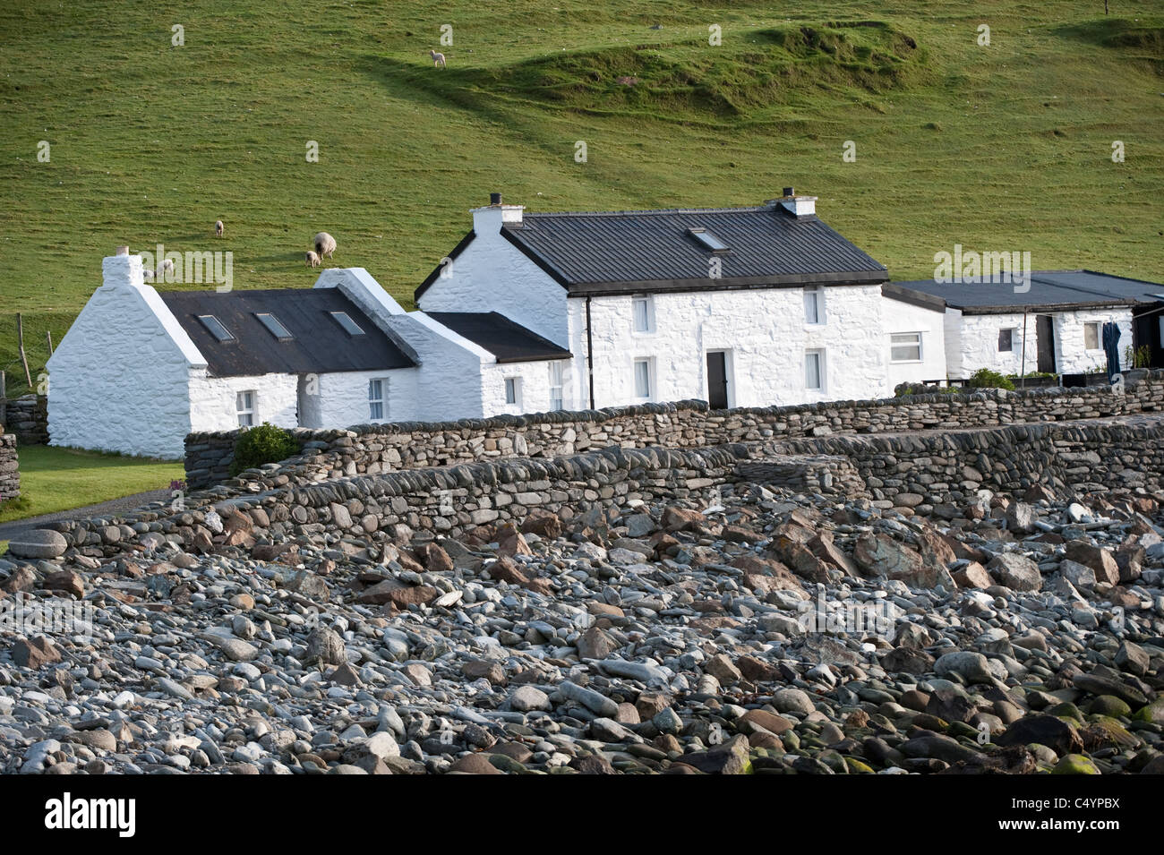 White cottages at the rocky coast of Norwick Unst Shetland Subarctic ...