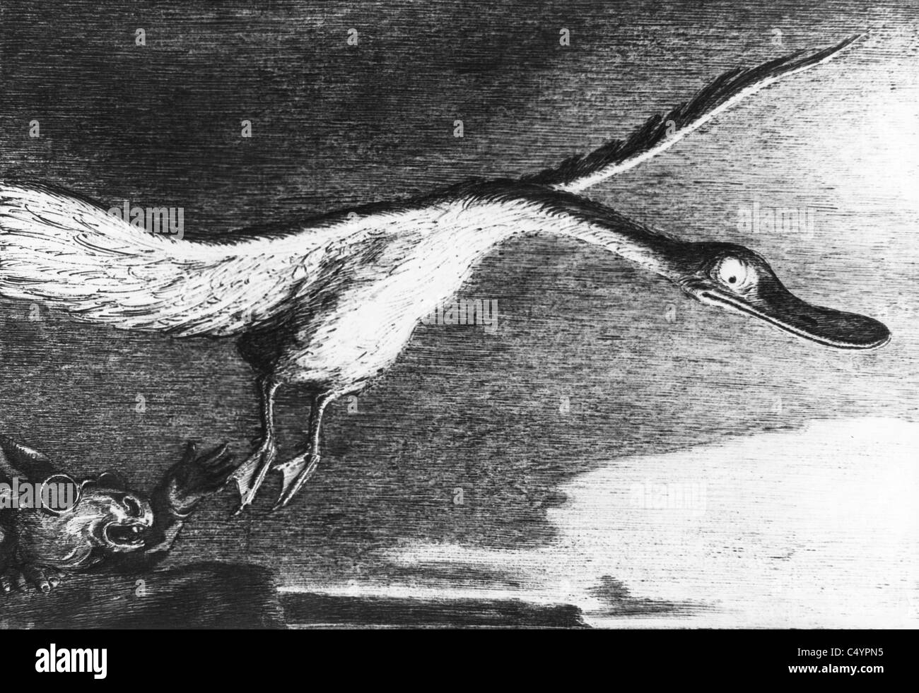 A. Paul Weber Stock Photo - Alamy