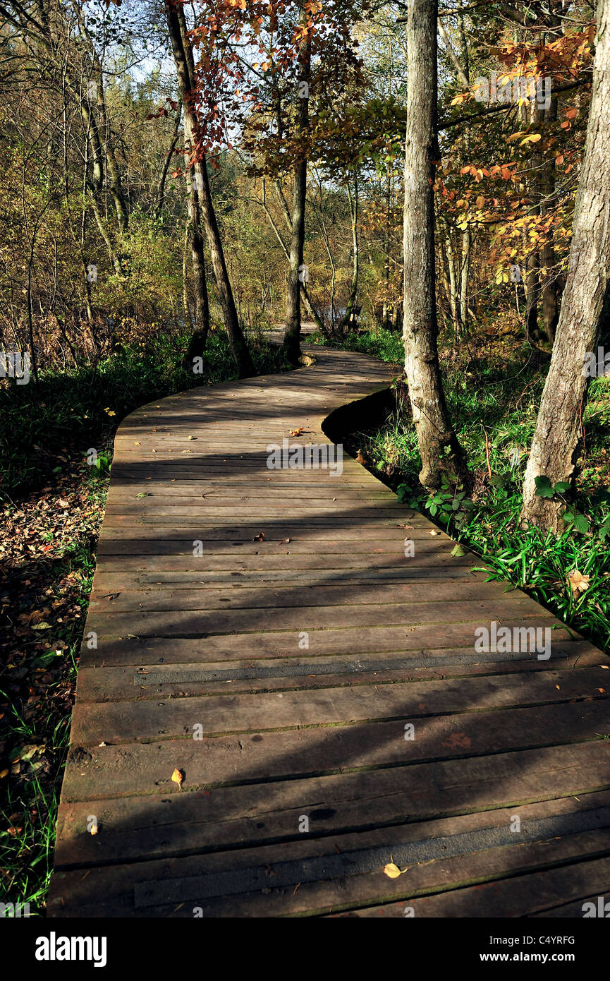 The clyde walkway hi-res stock photography and images - Alamy