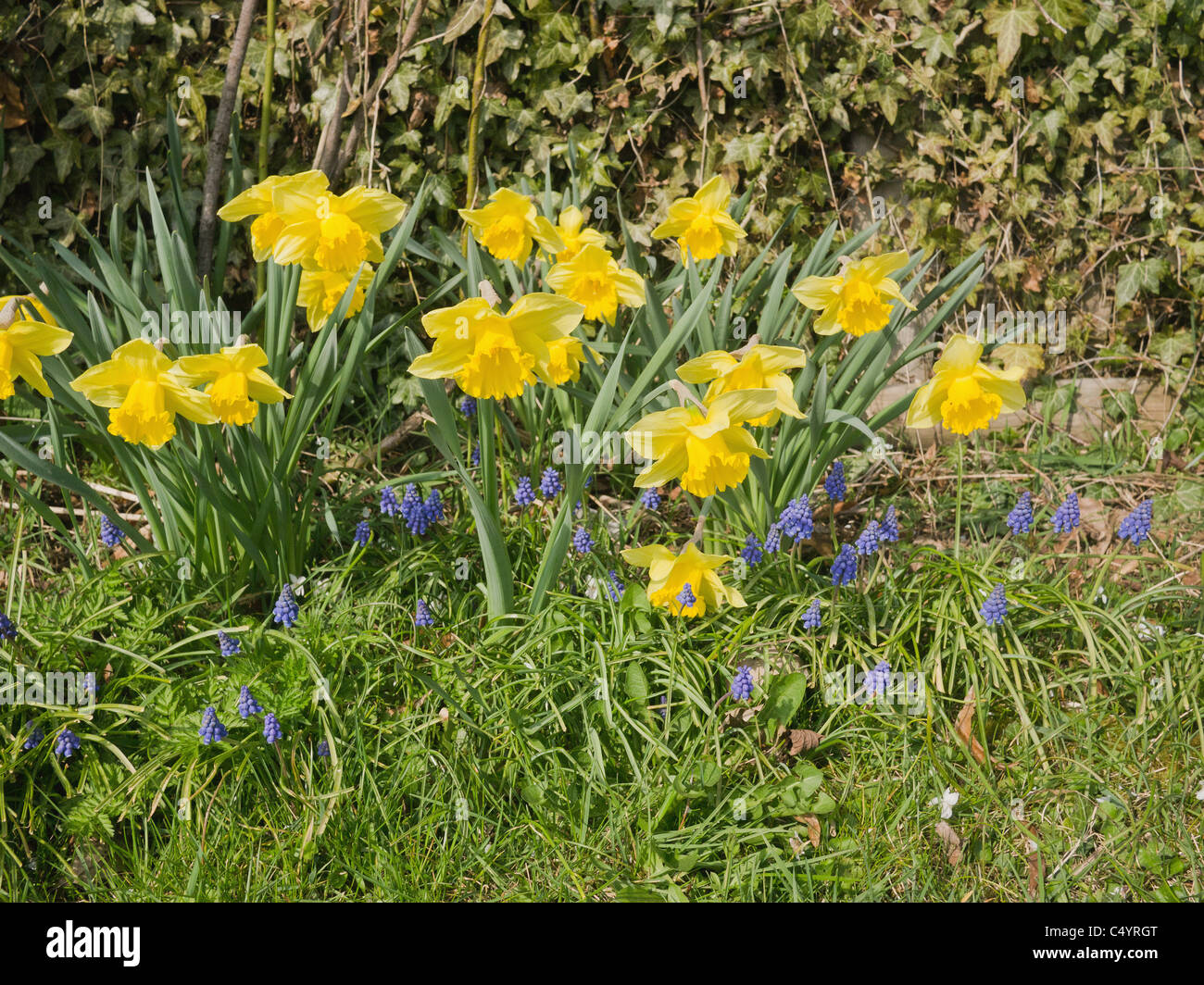 arrow valley country park redditch worcestershire Stock Photo - Alamy