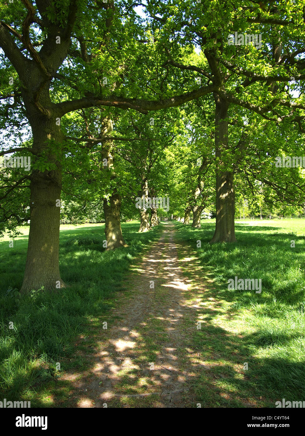footpath - the millenium way / heart of england way warwickshire ...