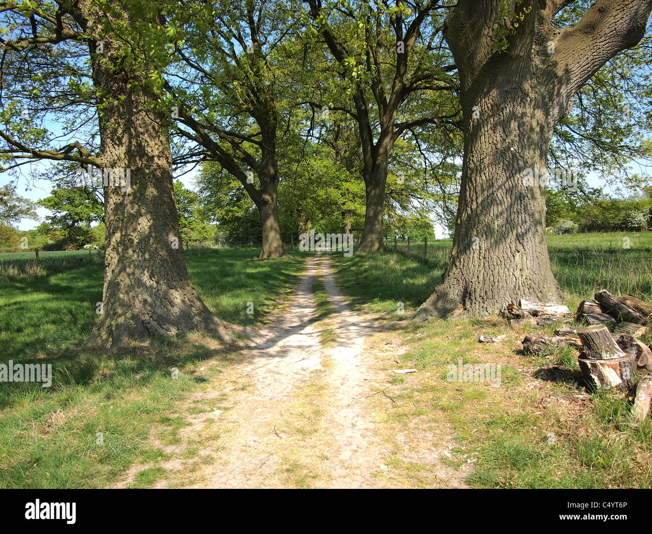 footpath - the millenium way / heart of england way warwickshire ...
