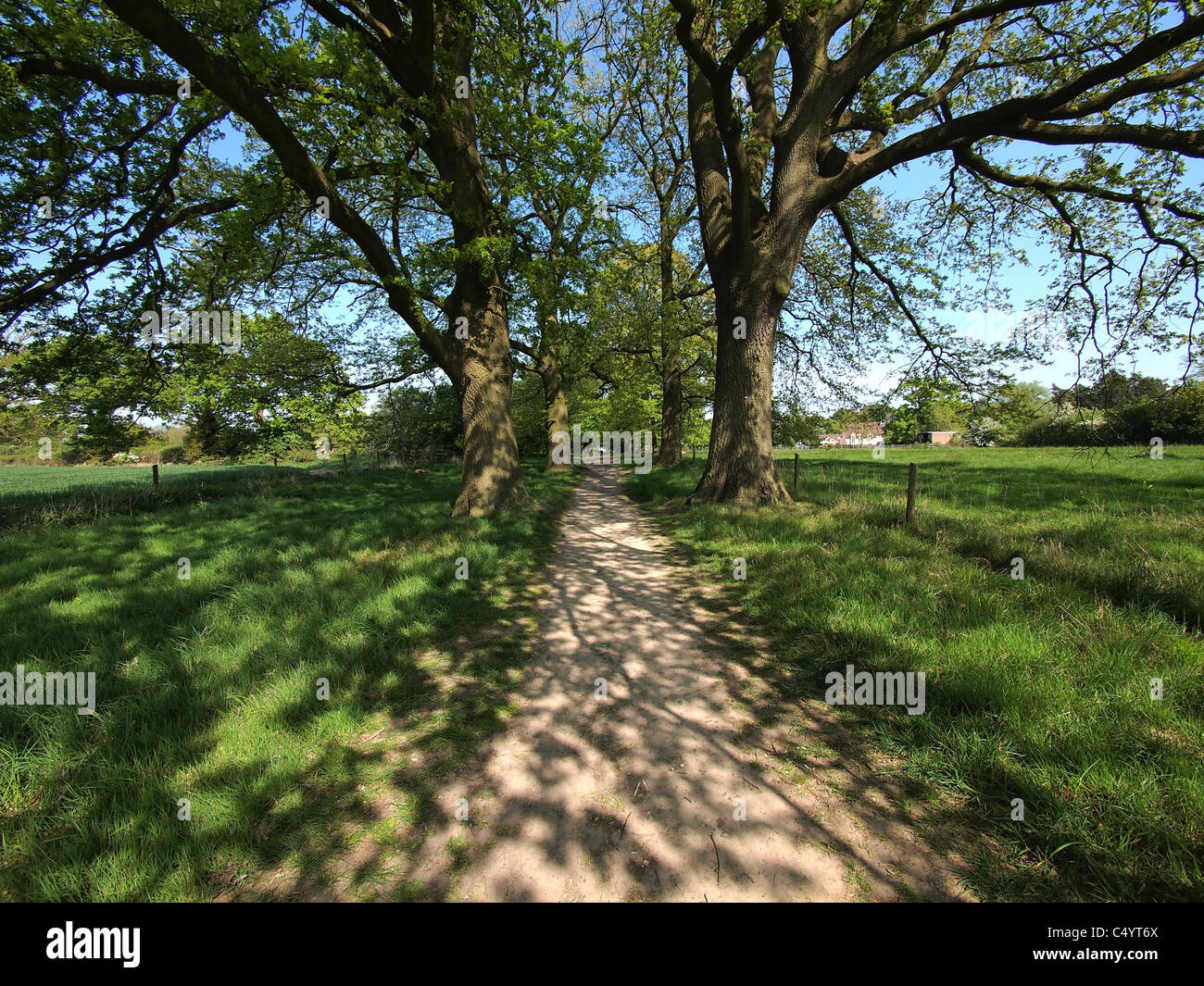 footpath - the millenium way / heart of england way warwickshire ...
