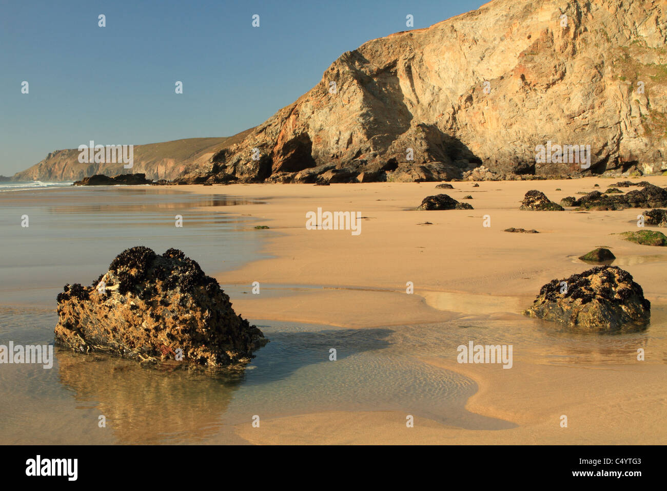 Porthtowan Beach - low tide, North Cornwall, England, UK Stock Photo ...