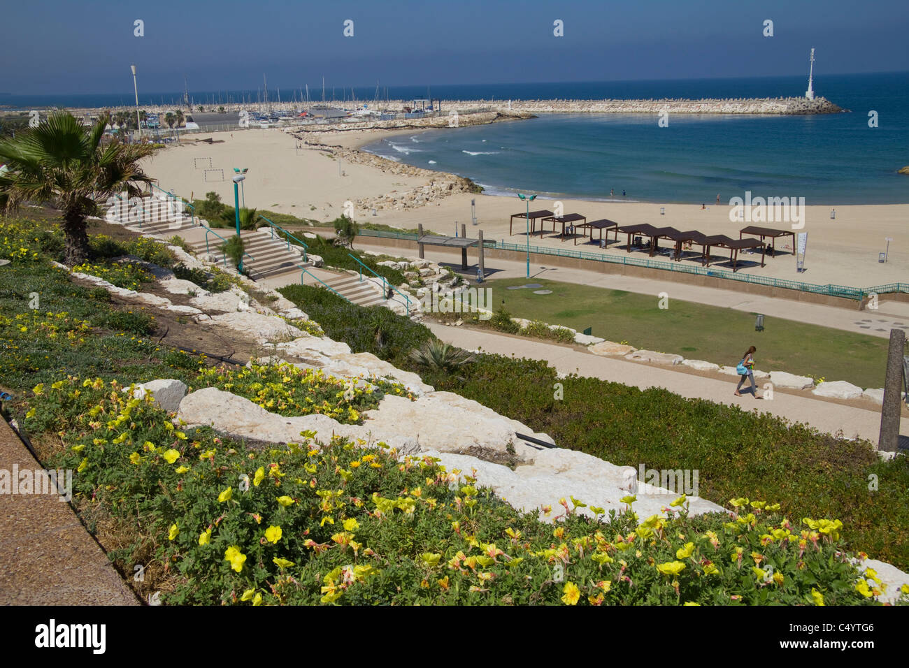Ashkelon beach hi-res stock photography and images - Alamy