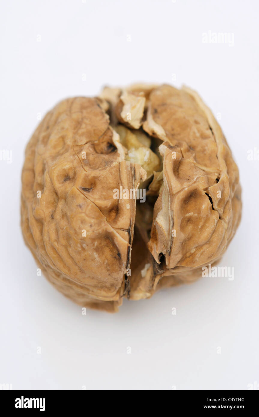 Walnut damage hi-res stock photography and images - Alamy
