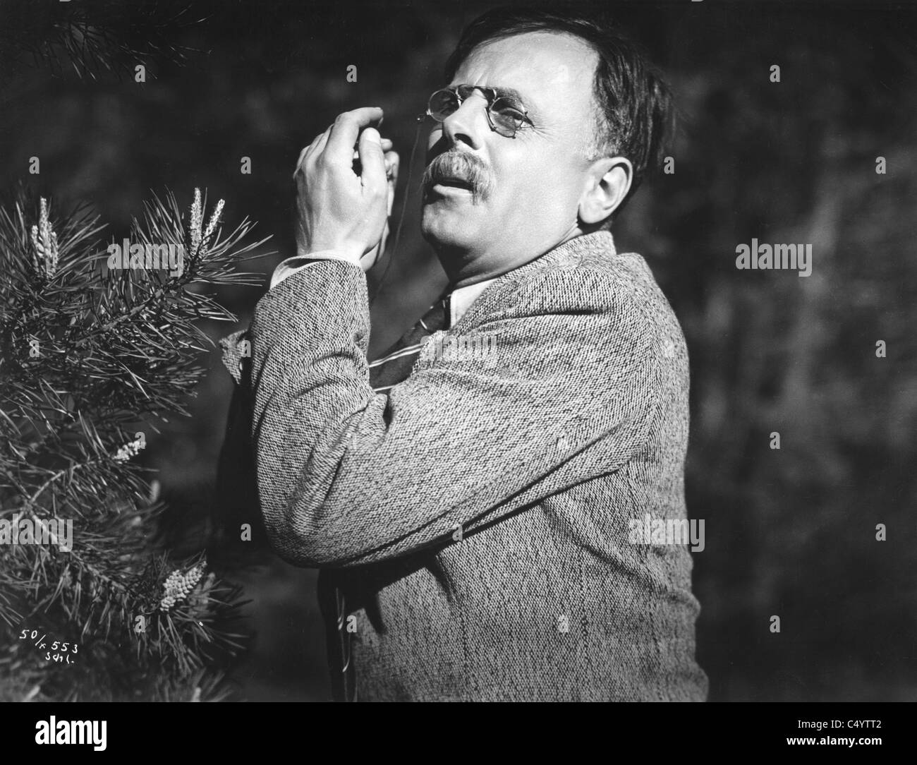 Waldow hi-res stock photography and images - Alamy