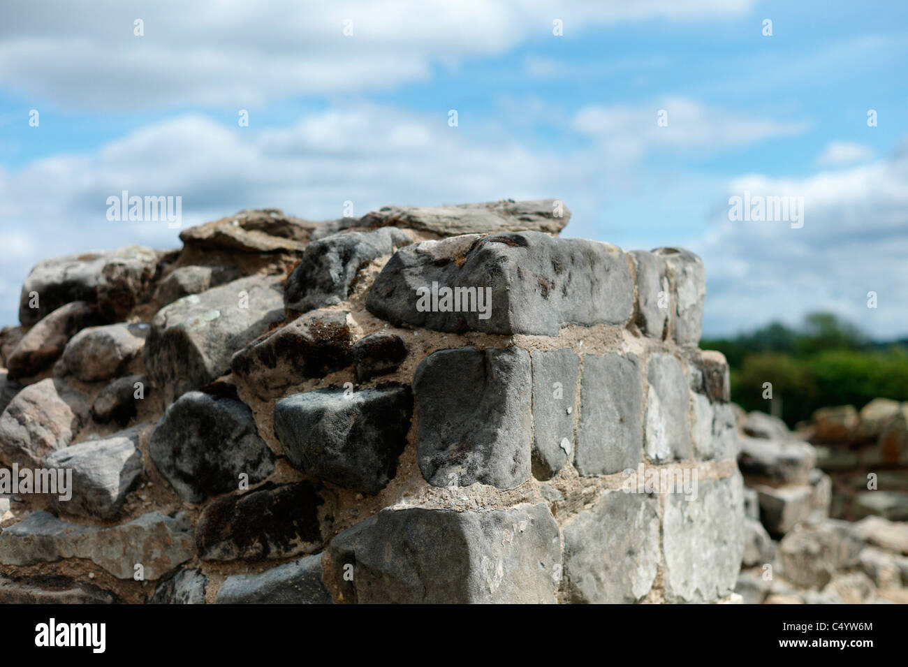 the ruins of bordesley abbey redditch worcestershire midlands uk Stock ...